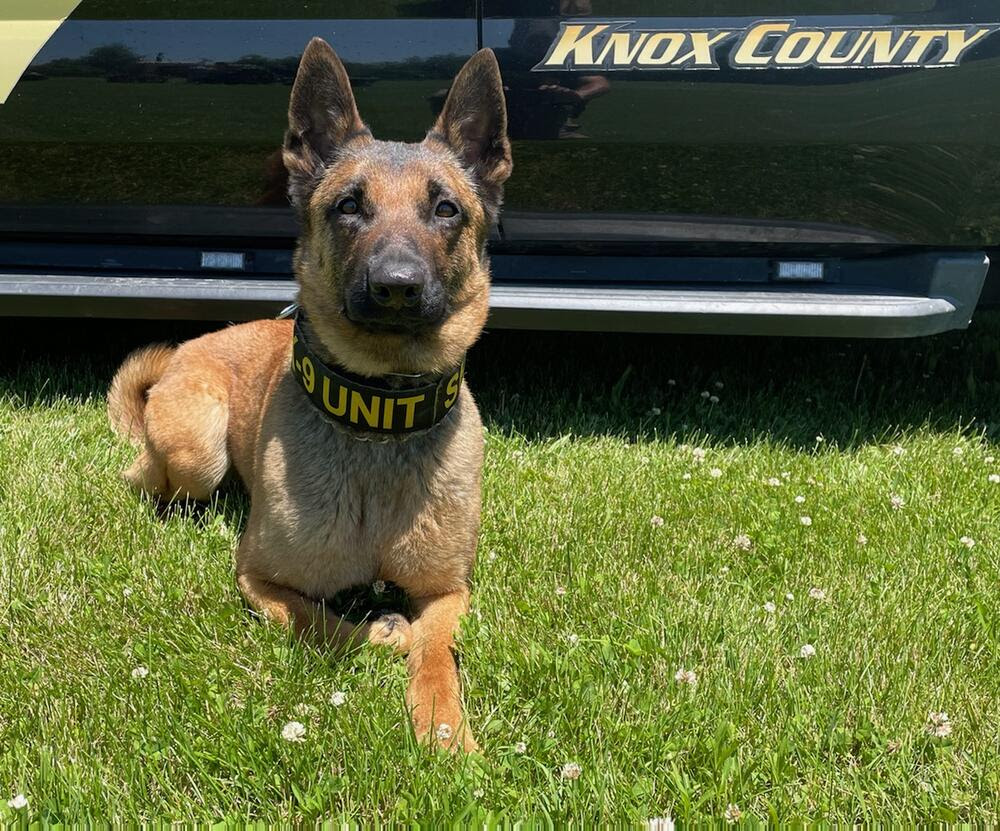 Knox County Sheriffs Office K9 Brenna Will Receive Donation Of Body