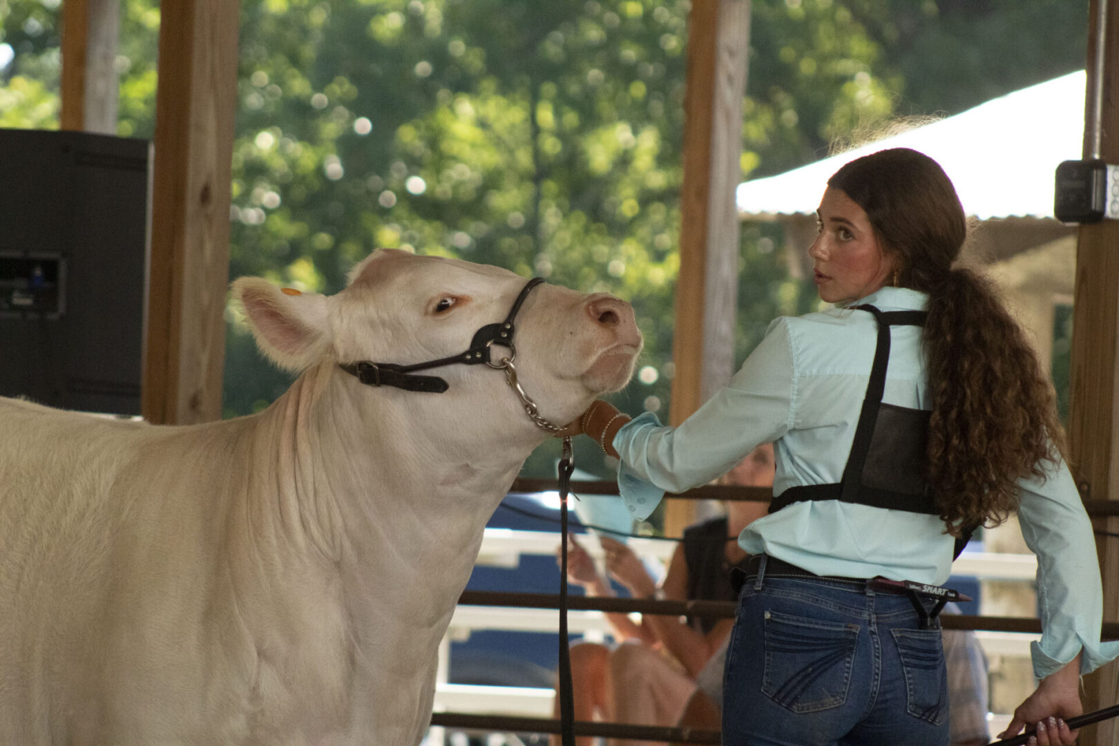 Showman Drew Creasey at the McDonough County Fair | Prairie ...