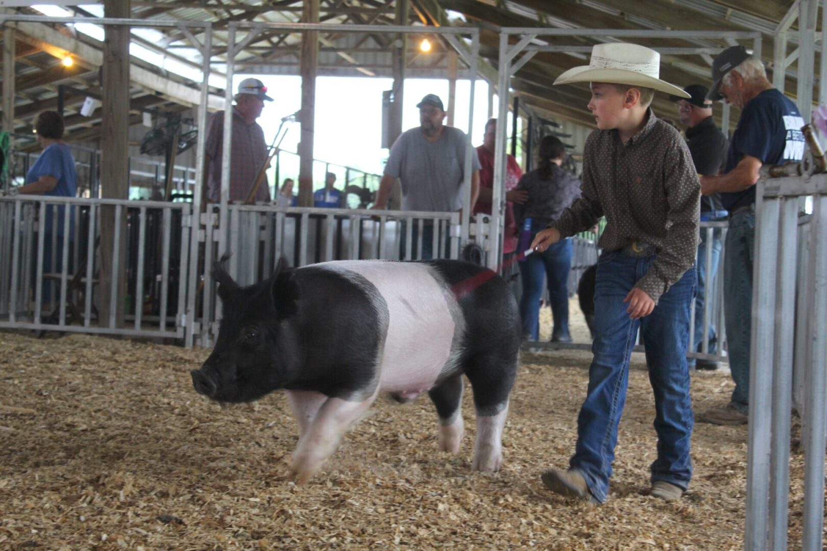 Conner Cameron at the Warren County Fair | Prairie Communications, LLC