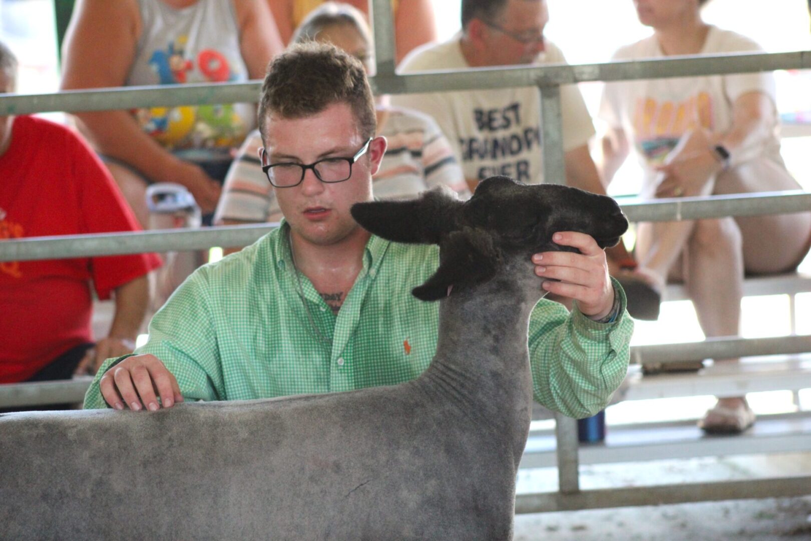 Meet the 2025 Henderson County Master Showman Dayne Gittings | Prairie ...