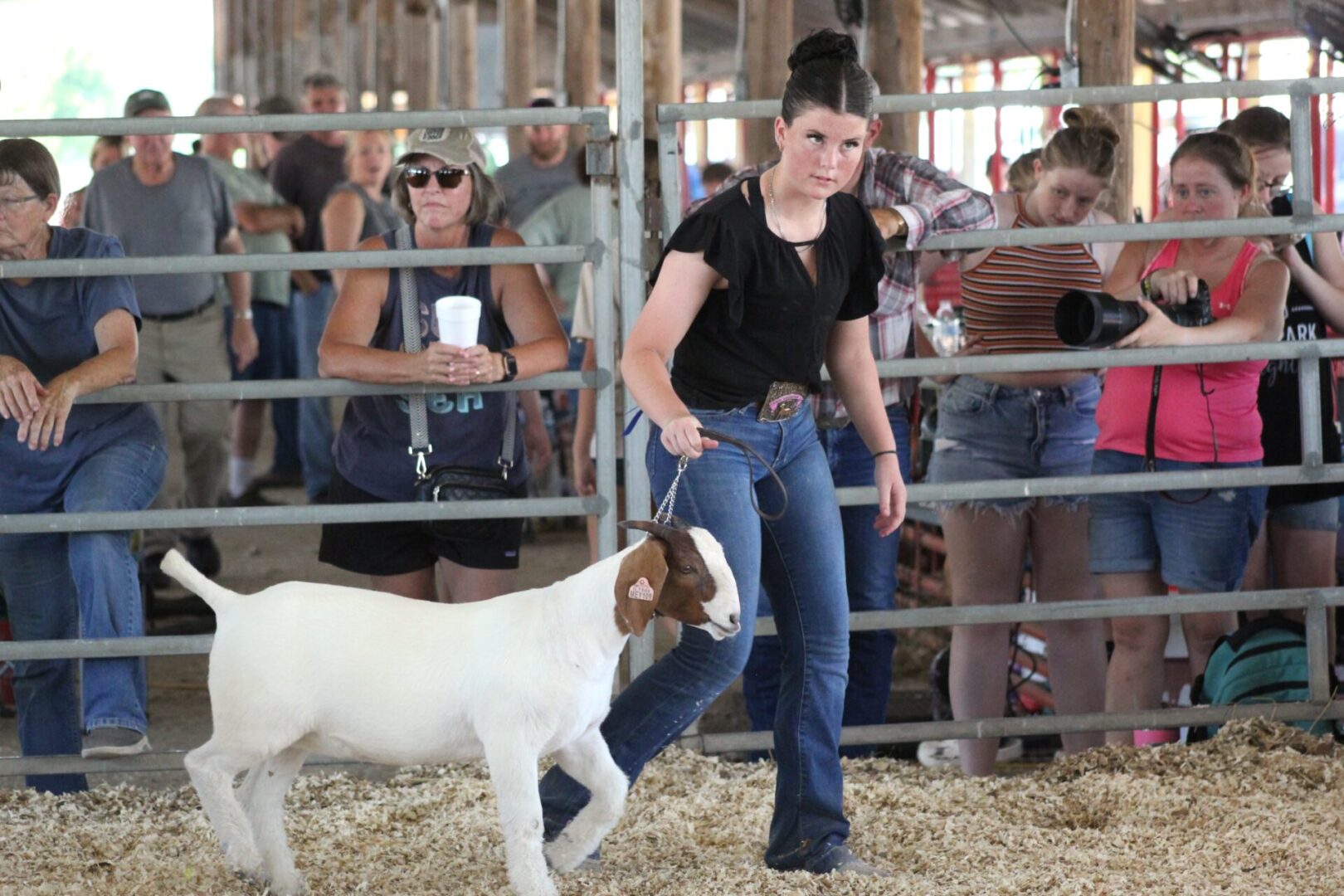 Ruby Gittings at the Henderson County Fair | Prairie Communications, LLC