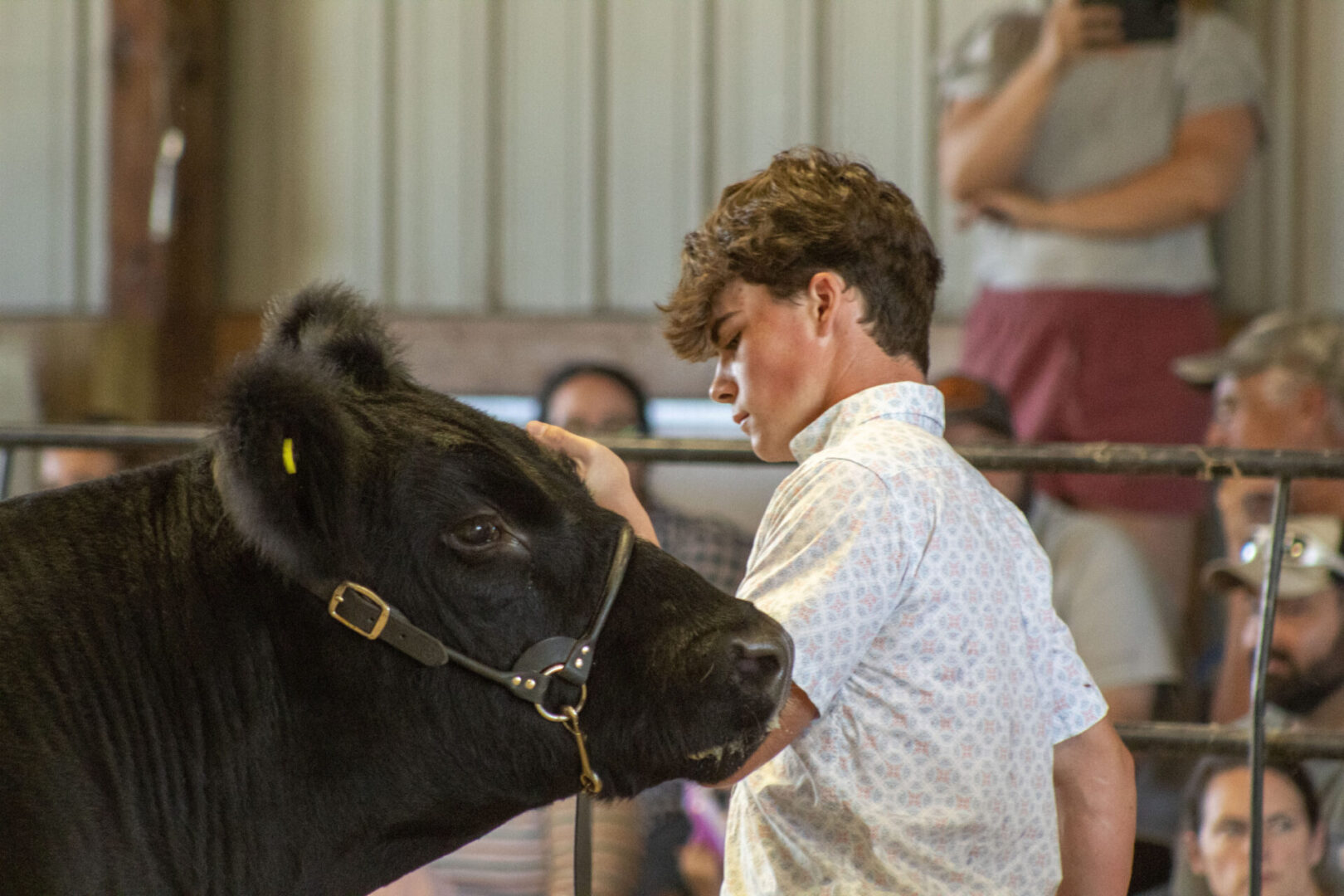 2025 Prime Beef Festival Cattle Show Results | Prairie Communications, LLC
